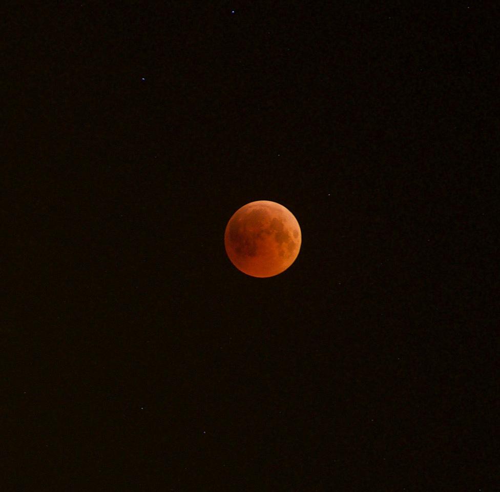 Red Moon Day – Space Cat Press